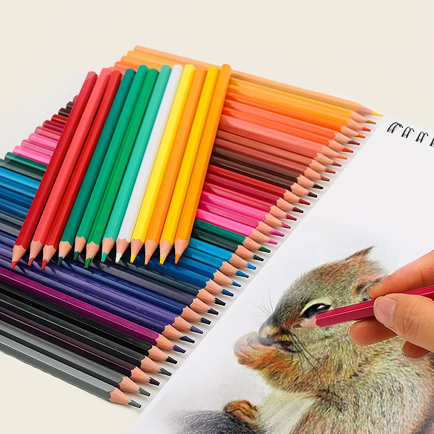 Khata Khori | 12 Color Wooden Pencil